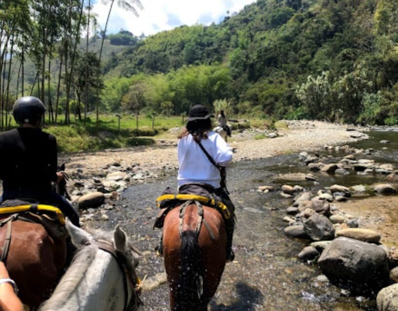 Cocora Valley: Salento & Private Horseback Riding Tour - Why This Tour Stands Out