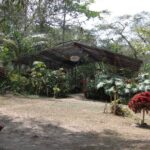 Coffee Experience: Hacienda Coloma Tour from Bogotá - Value and Practicalities