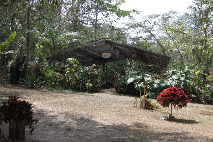 Coffee Experience: Hacienda Coloma Tour from Bogotá - Value and Practicalities