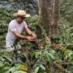Coffee Farm and Salento Walking Tour - Who Should Consider This Tour?