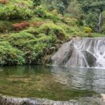 Coffee Farm and Santa Rosa Hot Springs from Pereira/Armenia - What’s Included and What’s Not