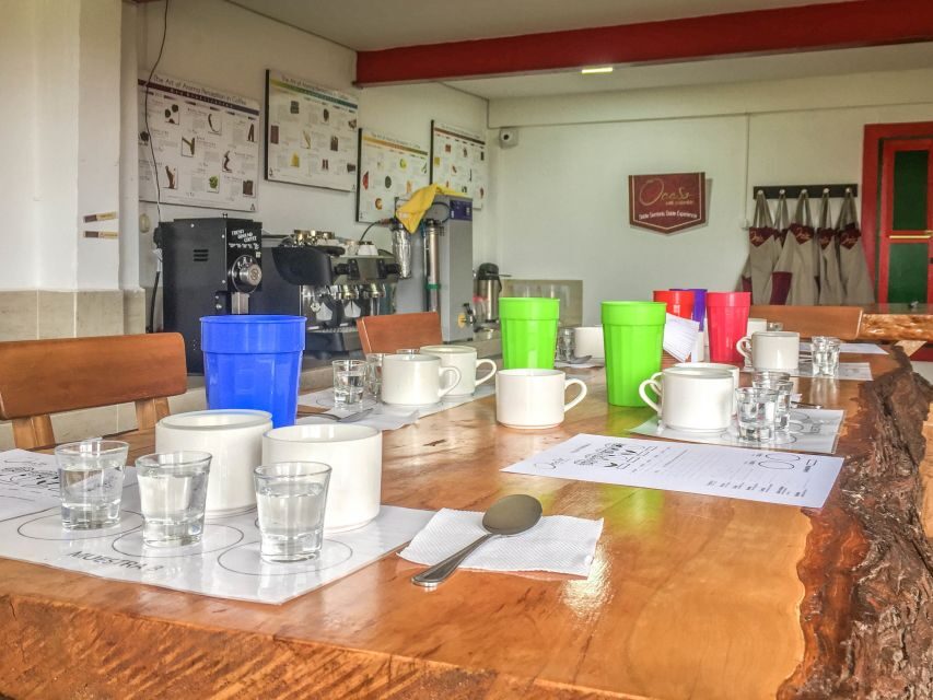 Coffee Farm Tour at Finca El Ocaso from Salento - A Close Look at the Coffee Farm Tour Experience