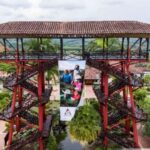 Coffee Park Tour from Pereira or Armenia - What You Can Expect on This Tour