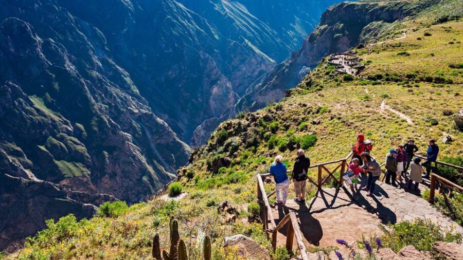 Colca Canyon: 2-Day Tour from Arequipa to Puno - The Bottom Line: Who Is This Tour Best For?