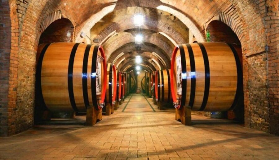 Concha y toro Wine tour - Practical Details and Considerations