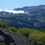 Conguillío National Park Tour, Full day - What’s Unique and Valuable About This Tour