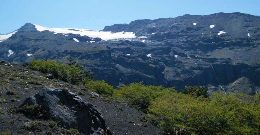 Conguillío National Park Tour, Full day - What’s Unique and Valuable About This Tour