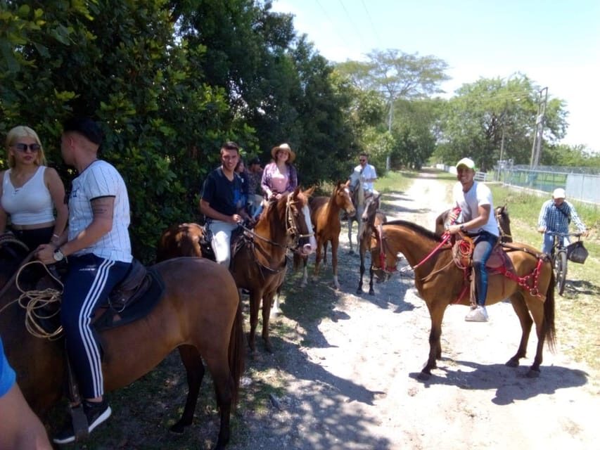 Copacabana Horseback Ride ALL INCLUSIVE - Medellín - What We Think About the Value