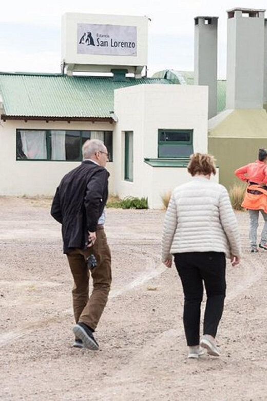 Cruise Shore Exc. Ea San Lorenzo (Penguins) Lunch Included - The Itinerary Breakdown