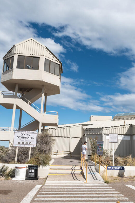 Cruise Shore Excursion Peninsula Valdes - Box Lunch Included - The Itinerary in Detail