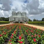 Curitiba: A Complete City Tour - An In-Depth Look at the Curitiba City Tour