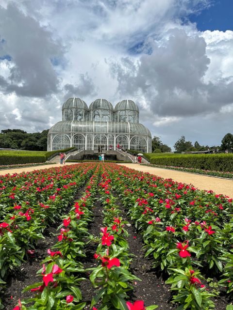 Curitiba: A Complete City Tour - An In-Depth Look at the Curitiba City Tour