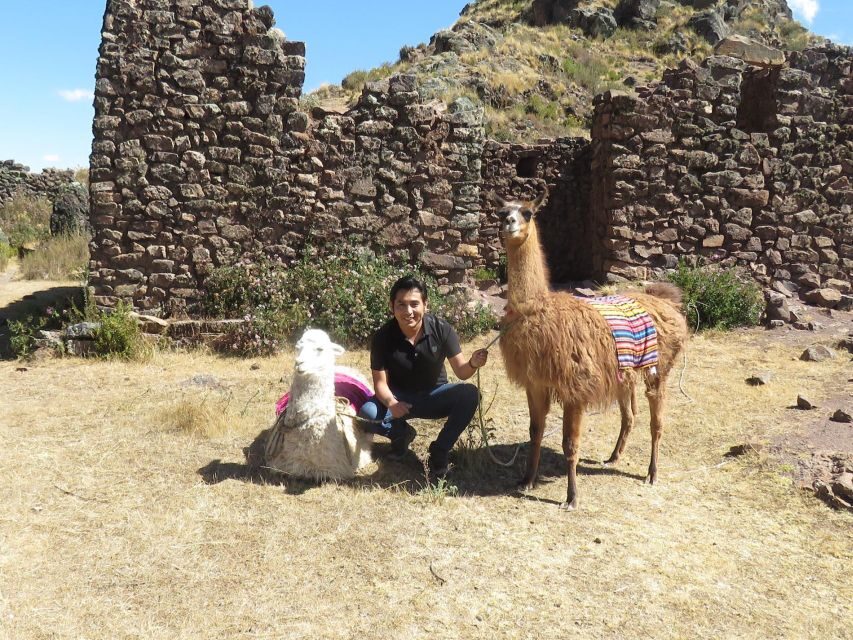 Cusco: Alpaca Therapy in the Cuyo Chico community |Half day| - What’s Included and What’s Not