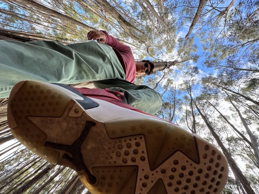 Cusco: Archeological Sites Tour and Forest Photo Experience - What to Expect on the Tour