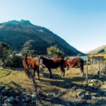 Cusco: Full-Day Humantay Lake with Picnic - The Value of the Experience