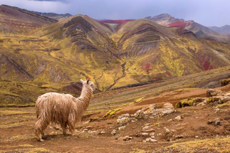 Cusco: Full-Day Private Hike to Palcoyo Rainbow Mountain - The Transportation and Timing