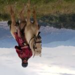 Cusco: Hidden Incan Temples Full-Day Horseback Riding Tour - Why Value Matters