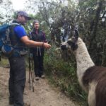 Cusco: Machu Picchu Inca Trail 4-Day Trek - A Detailed Look at the 4-Day Inca Trail Trek