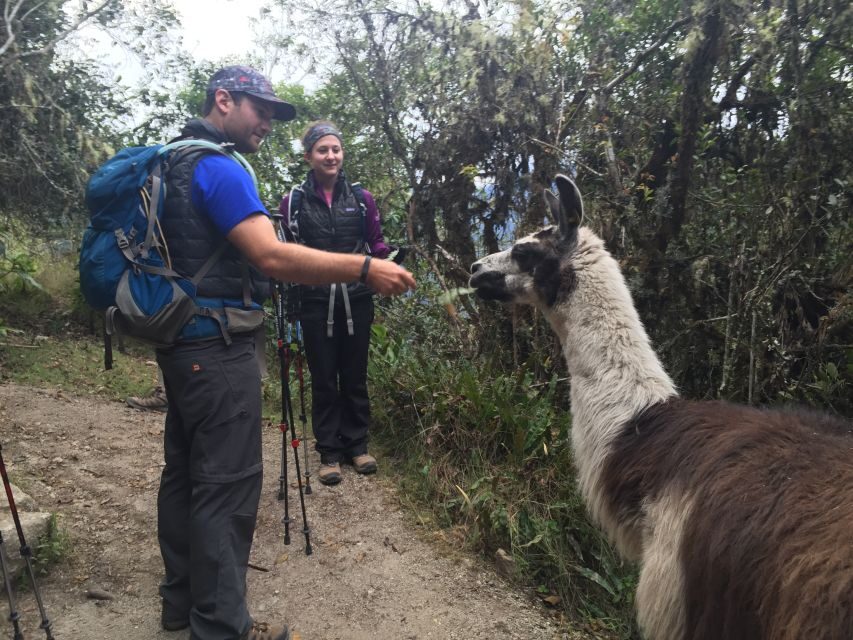 Cusco: Machu Picchu Inca Trail 4-Day Trek - A Detailed Look at the 4-Day Inca Trail Trek