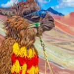 Cusco : Rainbow Mountain and Red Valley Tour - What Makes This Tour Stand Out
