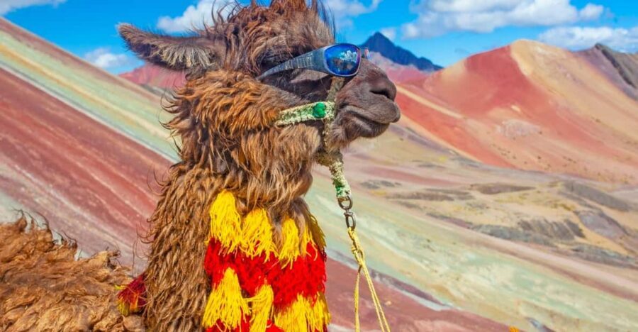 Cusco : Rainbow Mountain and Red Valley Tour - What Makes This Tour Stand Out