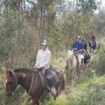 Cusco: Sacsayhuaman Guided Tour and 1-Hour Horseback Ride - Exploring Sacsayhuaman: The Heart of the Inca Empire