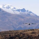 Cusco:Killarumiyoq, Tarawasi and Chonta viewpoint |Private| - The Practicalities: What’s Included and What’s Not