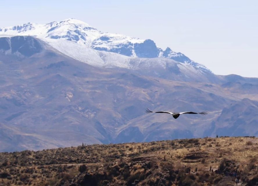 Cusco:Killarumiyoq, Tarawasi and Chonta viewpoint |Private| - The Practicalities: What’s Included and What’s Not