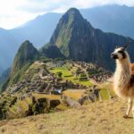 Cusco:Machupicchu Group Tour from Aguas Calientes - Transportation and Logistics