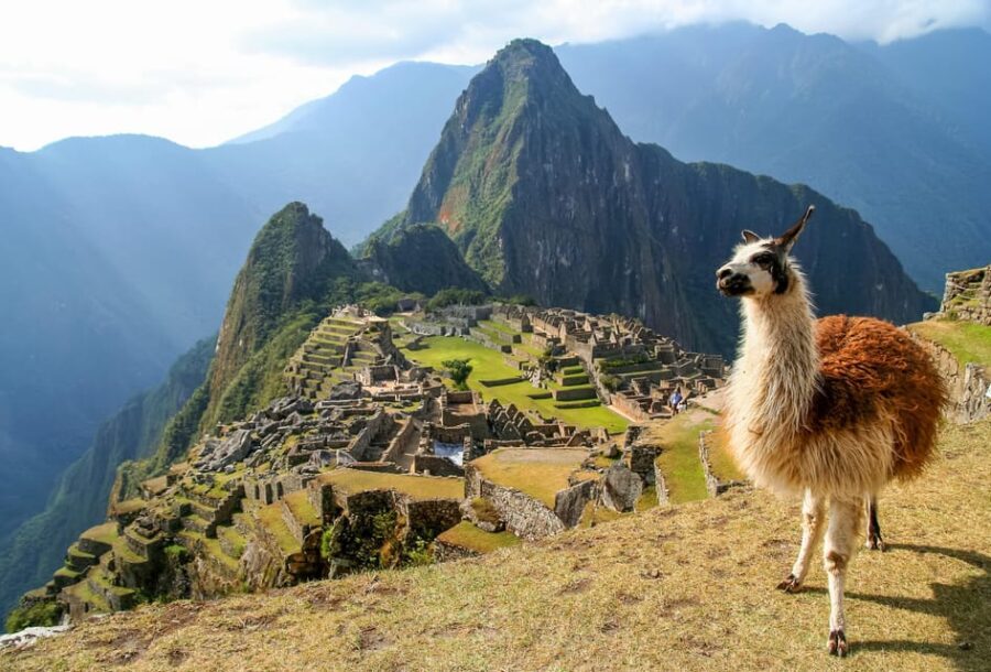 Cusco:Machupicchu Group Tour from Aguas Calientes - Transportation and Logistics