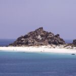 Damas or Chañaral islands: Whales & Humboldt Penguin Reserve - Detailed Review of the Experience