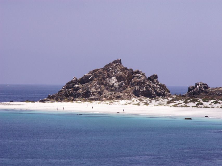 Damas or Chañaral islands: Whales & Humboldt Penguin Reserve - Detailed Review of the Experience
