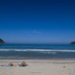 Day Tour to Trindade: Nature and Sea Adventure from Paraty - What Makes This Tour Stand Out?