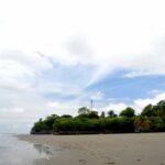 Day Tour Whale Watching from Cali - Sundays - - Who Is This Tour Best For?