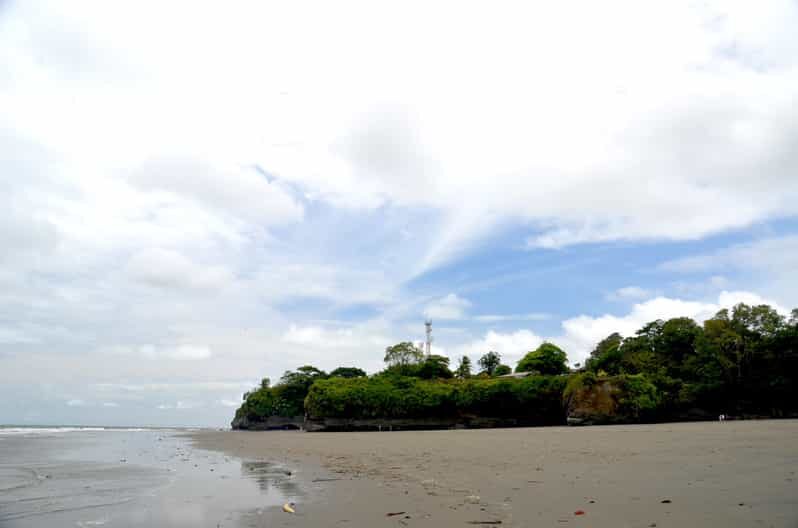 Day Tour Whale Watching from Cali - Sundays - - Who Is This Tour Best For?