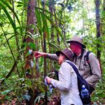 Deep Jungle Experience Plan 4 Days - The Itinerary Breakdown