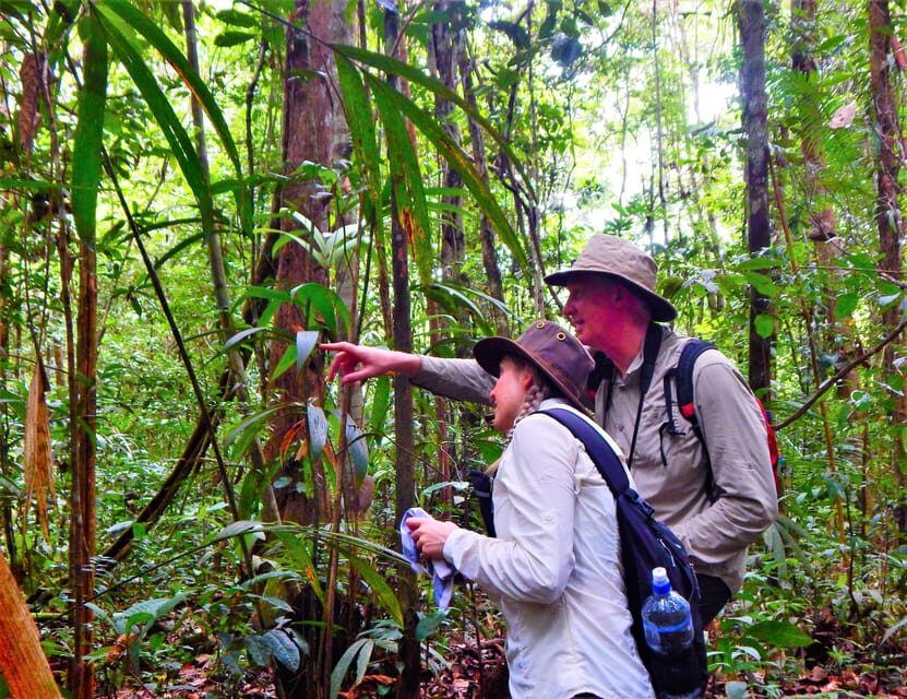 Deep Jungle Experience Plan 4 Days - The Itinerary Breakdown