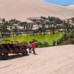 Desde Lima: Tour Ica Paracas Islas Ballesta full day - Logistics & Practical Tips