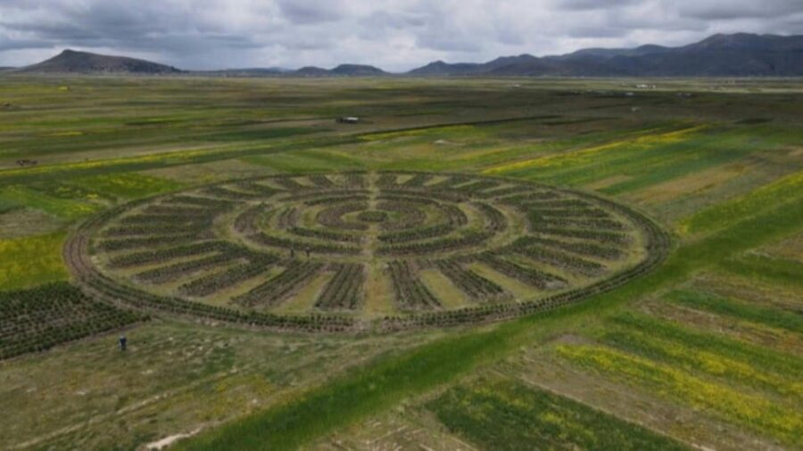Discover Puno: Aymara Route and Titicaca Castle (Entrance) - Analyzing the Experience and Value