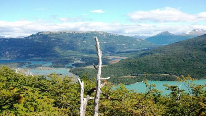Discover Tierra del Fuego National Park - Who Will Love This Tour?
