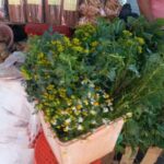 Discovering the secrets of the Amazon: Guided tour of Belén - Practical Details: What You Need to Know