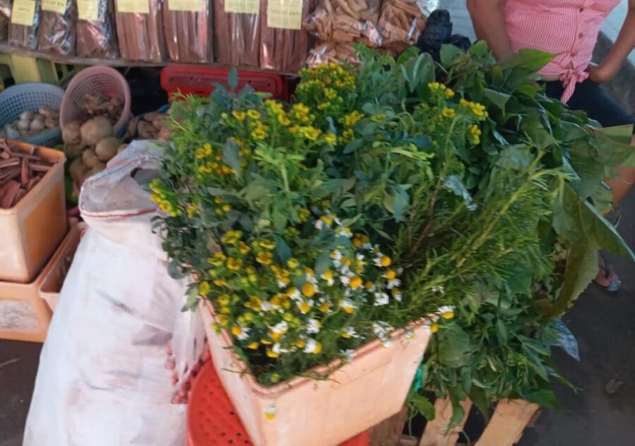 Discovering the secrets of the Amazon: Guided tour of Belén - Practical Details: What You Need to Know