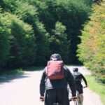 E-BIKE Beagle Viewpoint - What You Can Expect on the Tour