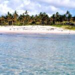 Easter Island: Full-Day Tour to Anakena - The Practicalities: What to Expect