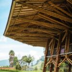 Eco-Park Recinto del Pensamiento Tour - Detailed Breakdown of the Itinerary