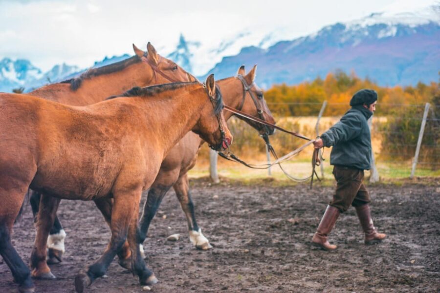 El Calafate: Nibepo Aike Ranch with Horseback Riding - What to Expect at Nibepo Aike