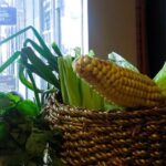 El Chef Soy Yo Workshop - An In-Depth Look at the Experience