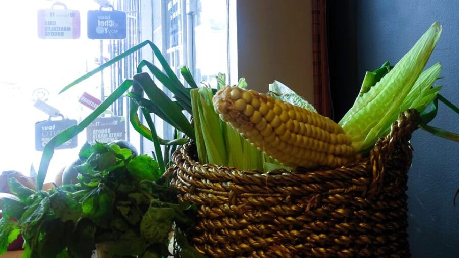 El Chef Soy Yo Workshop - An In-Depth Look at the Experience