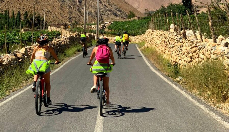 Elqui Valley: Bike Tour - Visiting Pisco Distilleries