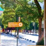 Embalse el Yeso: Full-day tour with picnic. - Highlights of the Tour